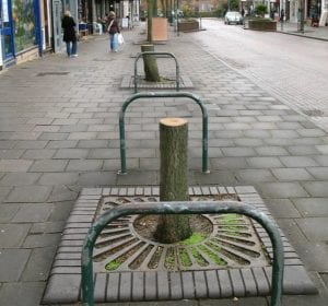 Tree Pits, Why, How - The Basics - GreenBlue Urban