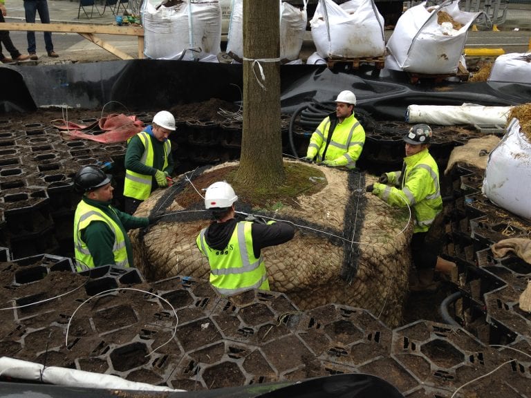 Tree Pits, Why, How - The Basics - GreenBlue Urban