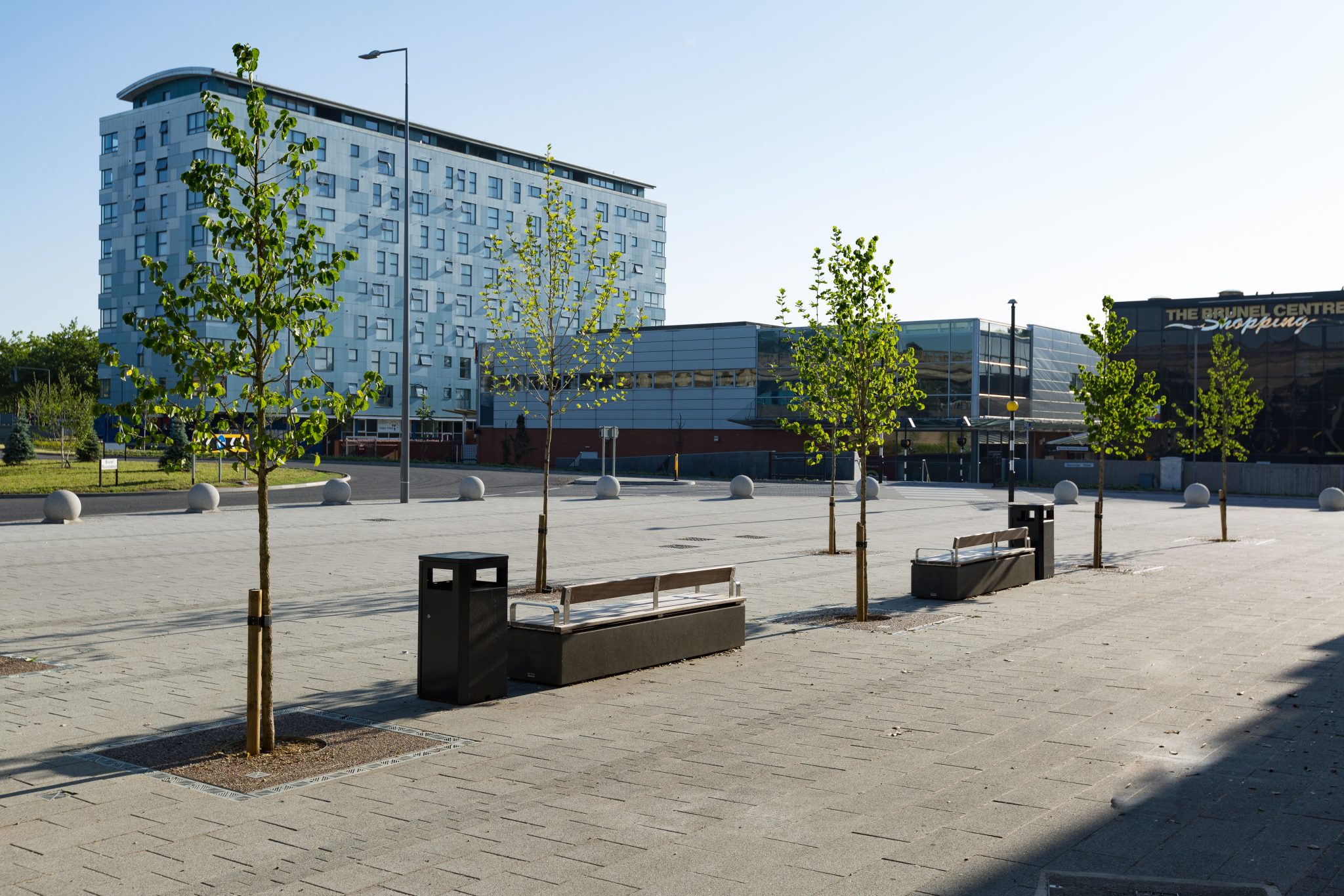 Trees & Water Sensitive Urban Design - GreenBlue Urban