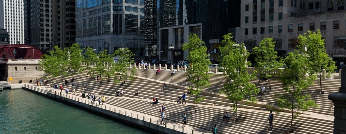 Urban Trees & Arboriculture News - GreenBlue Urban