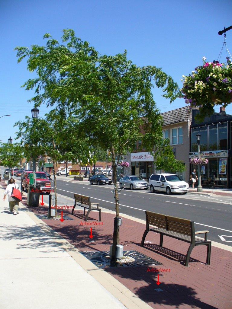 Urban Tree Planting Projects - GreenBlue Urban