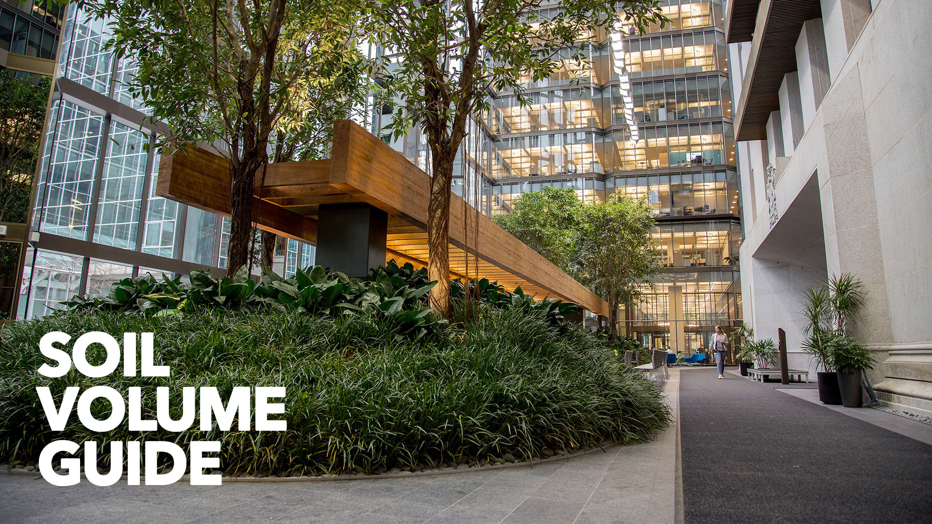 Tree Species Soil Volume Guide - GreenBlue Urban