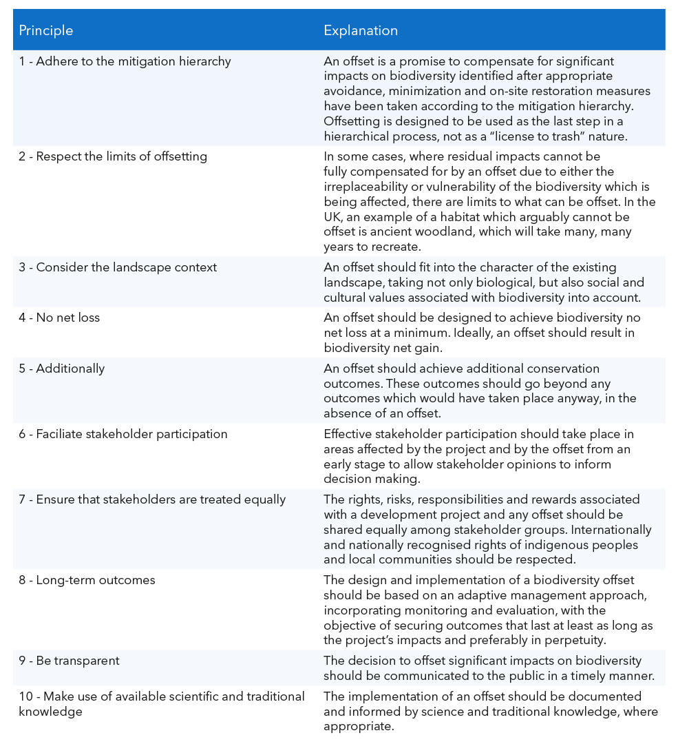 How to Incorporate Biodiversity Net Gain & SuDS on Developments