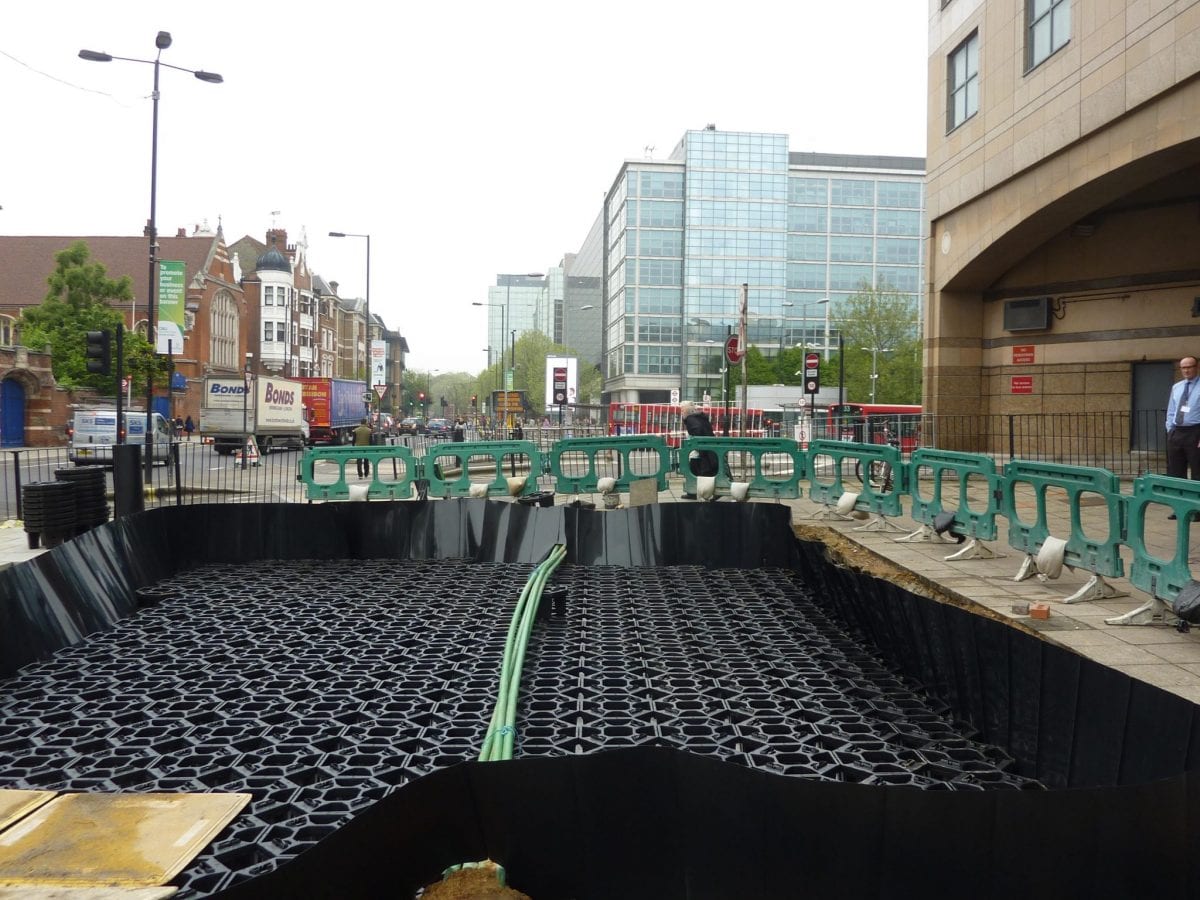 Long Term Successful Tree Planting and the Rise of the Planter