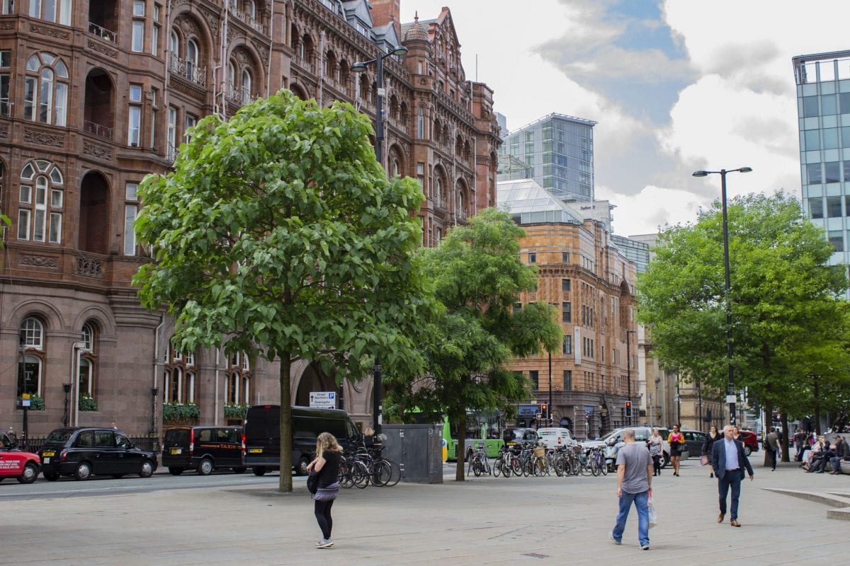 Stormwater Management (SUDS) Archives - GreenBlue Urban