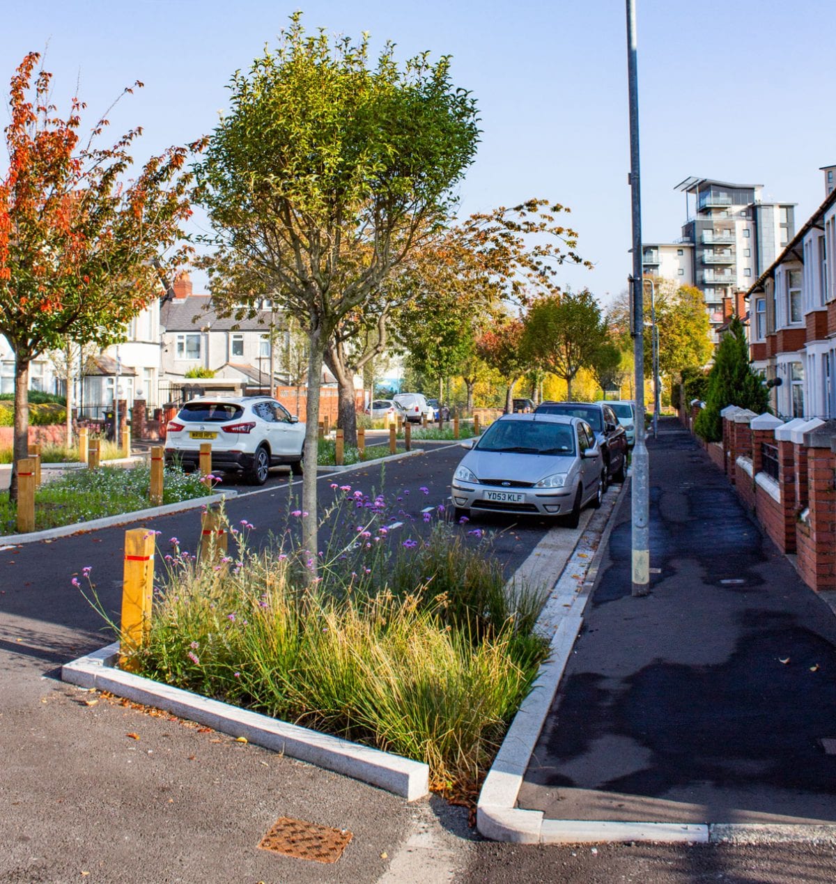 How Bioretention Tree Pits can Manage Stormwater at Source