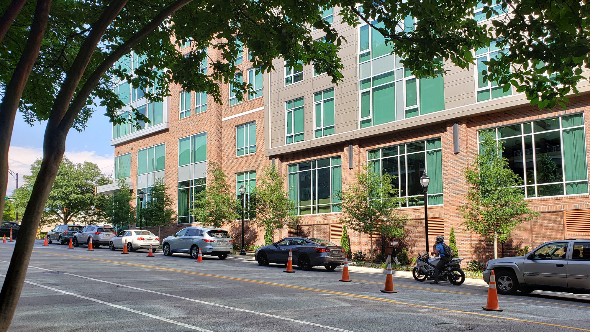 Urban Trees & Arboriculture News - GreenBlue Urban