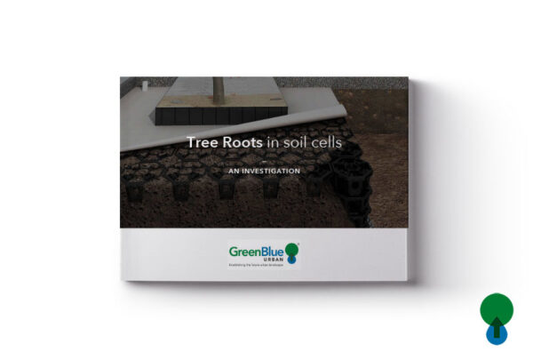 Tree Roots in Soil Cells - Resource Centre - GreenBlue Urban