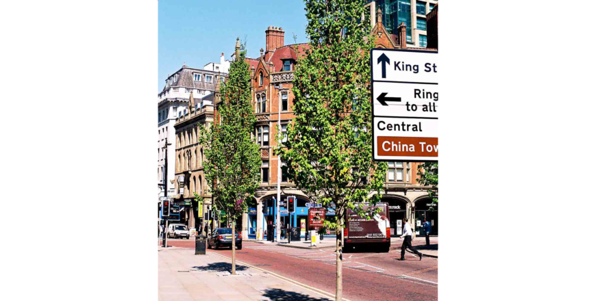 Albert Square Beautification - GreenBlue Urban