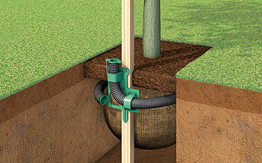 Constructing A More Resilient Future - GreenBlue Urban