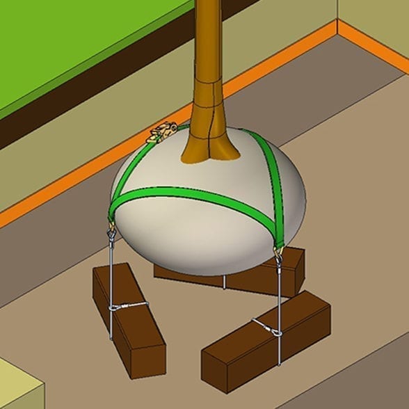 ArborGuy AnchorPlate - GreenBlue Urban