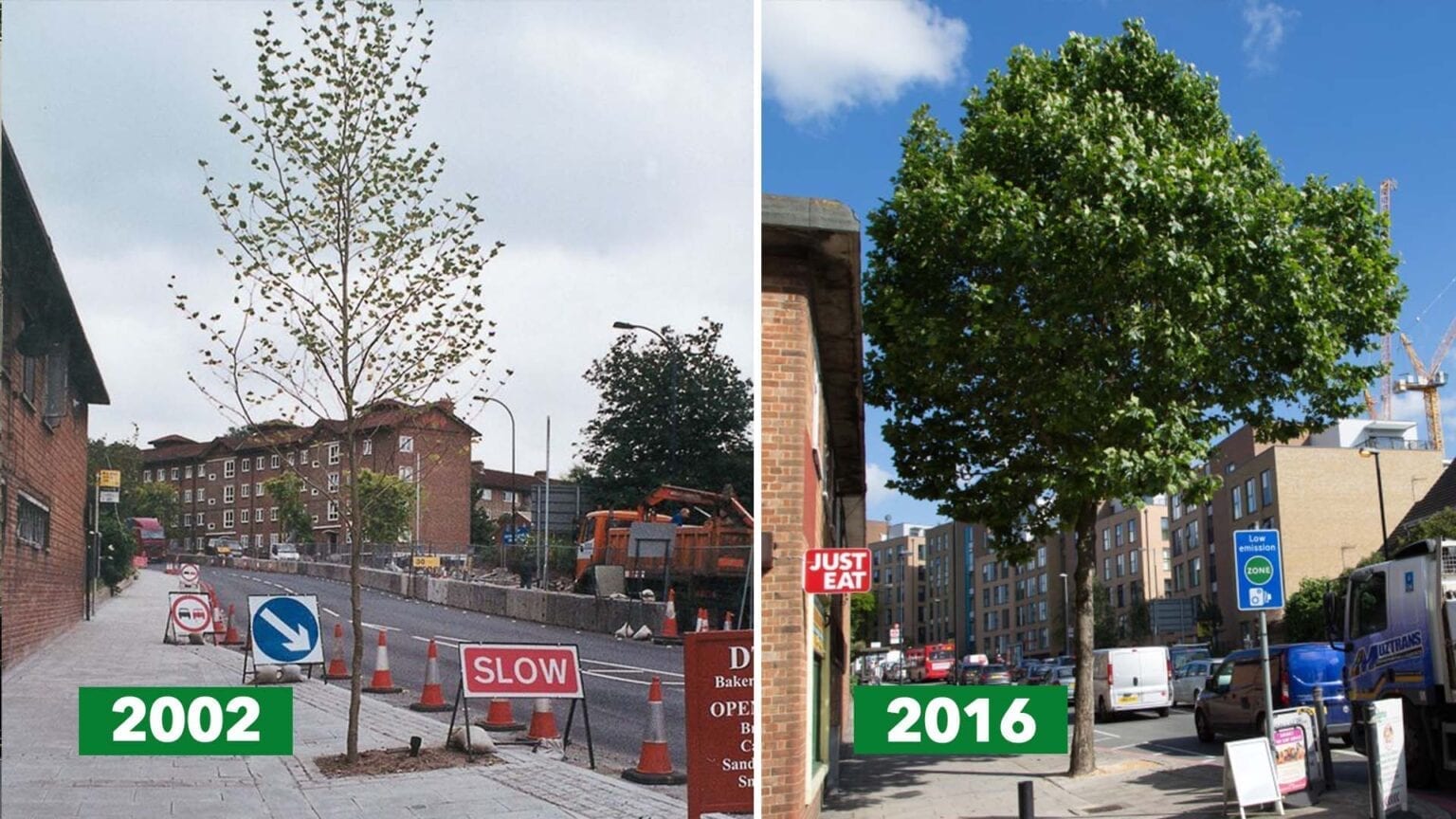 Which Soil Cell do I use? - GreenBlue Urban