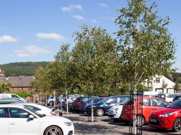 Booths Supermarket, Penrith - GreenBlue Urban