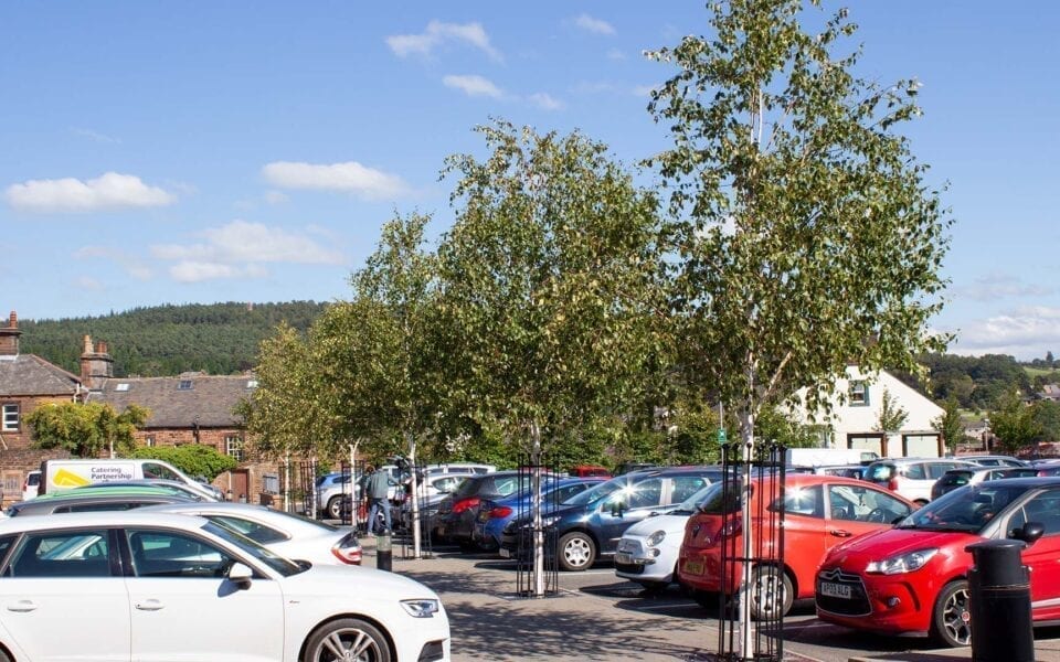 Booths Supermarket, Penrith - GreenBlue Urban