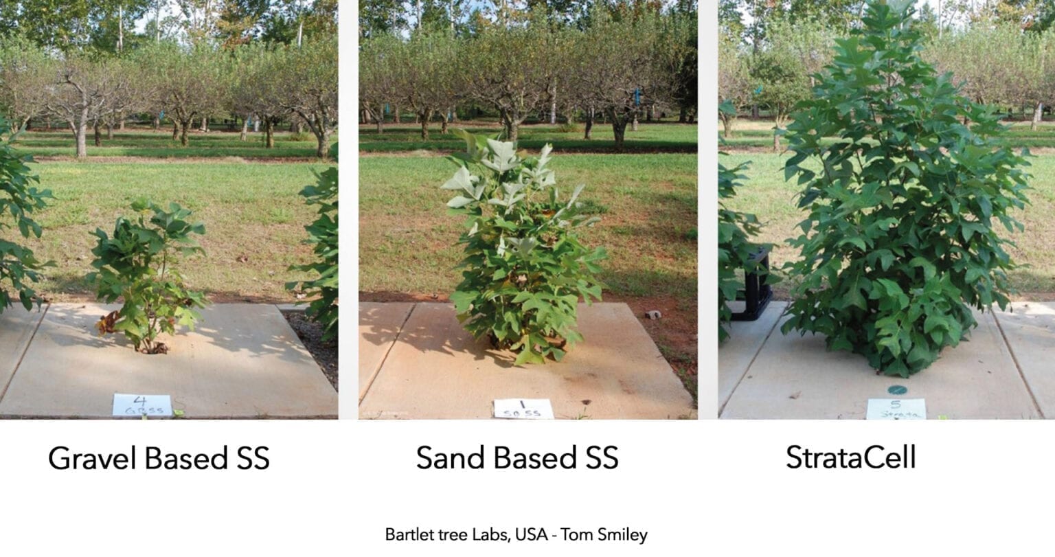 The Case of Structural Soil & Sand vs Soil Cells - GreenBlue Urban