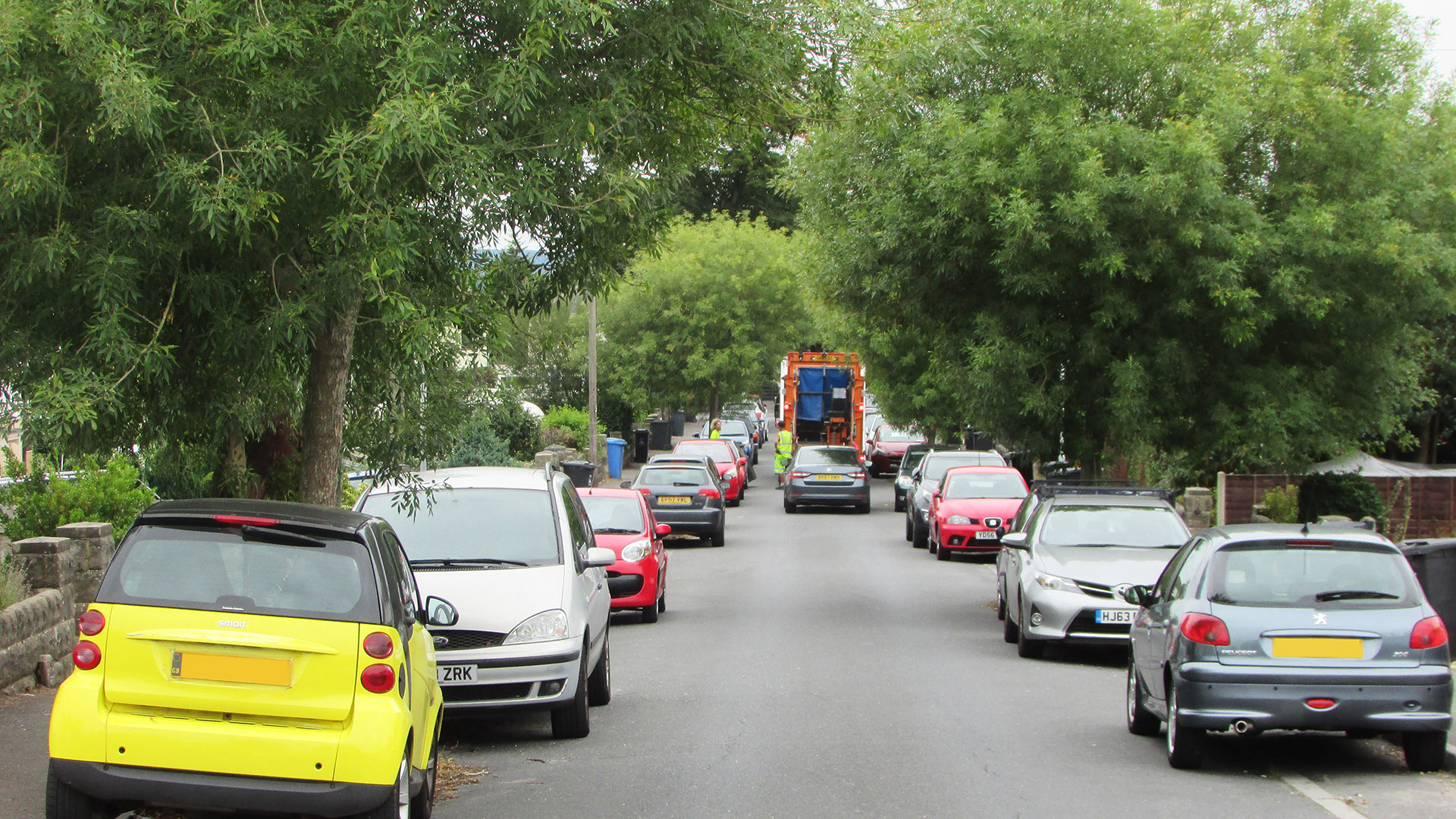 Who is responsible for Maintaining our Public Trees? - GreenBlue Urban