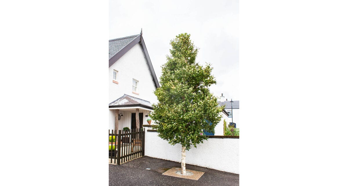 Knockroon Estate, Scotland - GreenBlue Urban