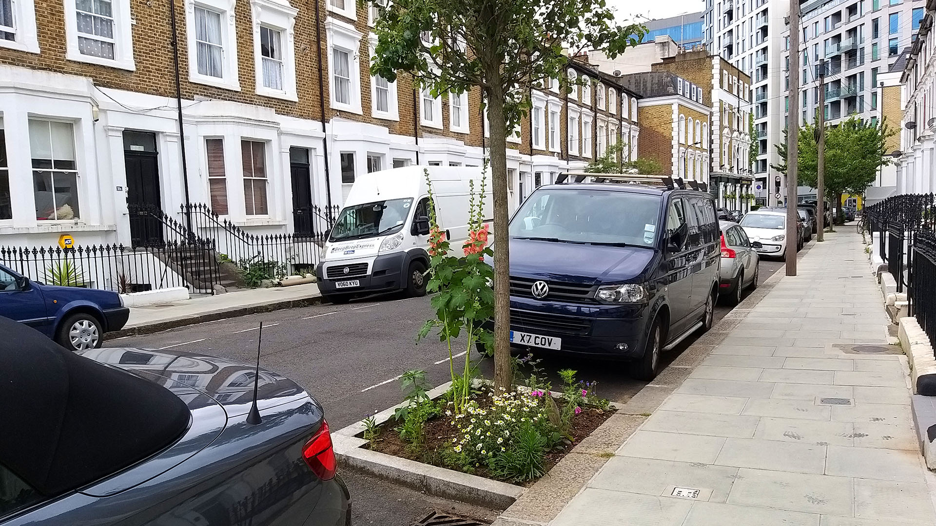 Who is responsible for Maintaining our Public Trees? - GreenBlue Urban