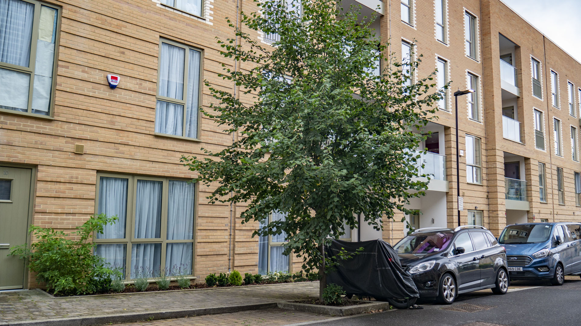 Who is responsible for Maintaining our Public Trees? - GreenBlue Urban