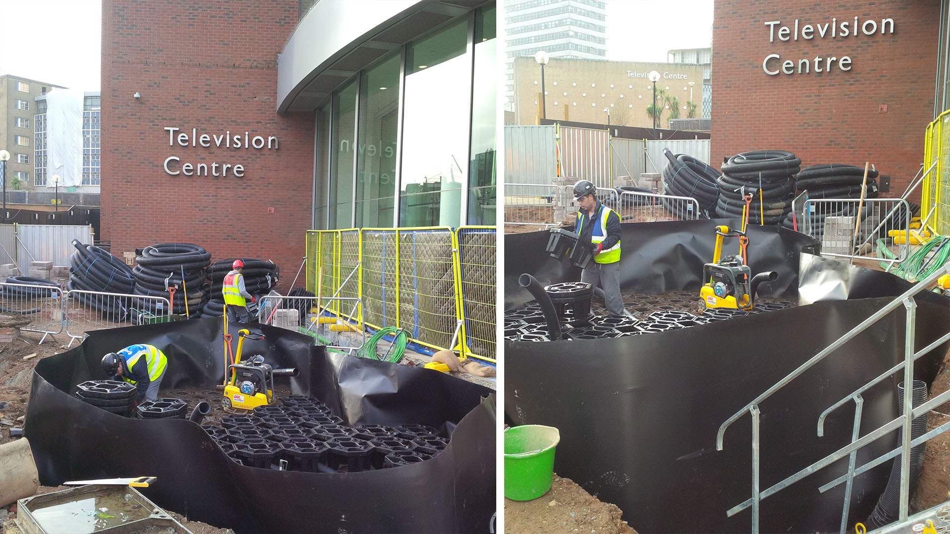 Discussing the Basics of Root Management - GreenBlue Urban