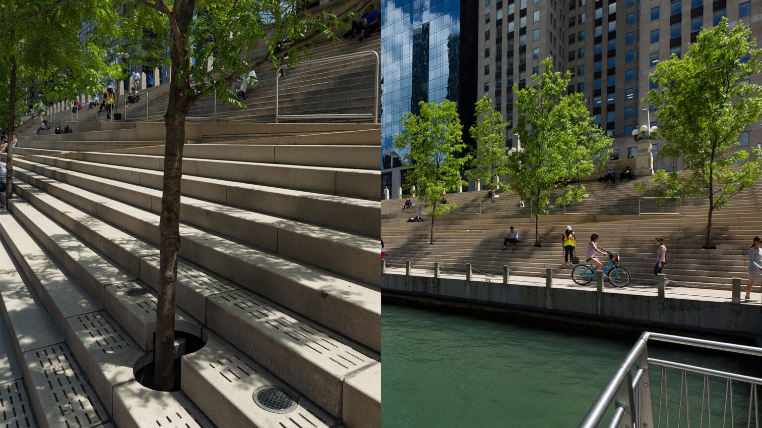 Planting Trees on Rooftops and Podium Decks - GreenBlue Urban