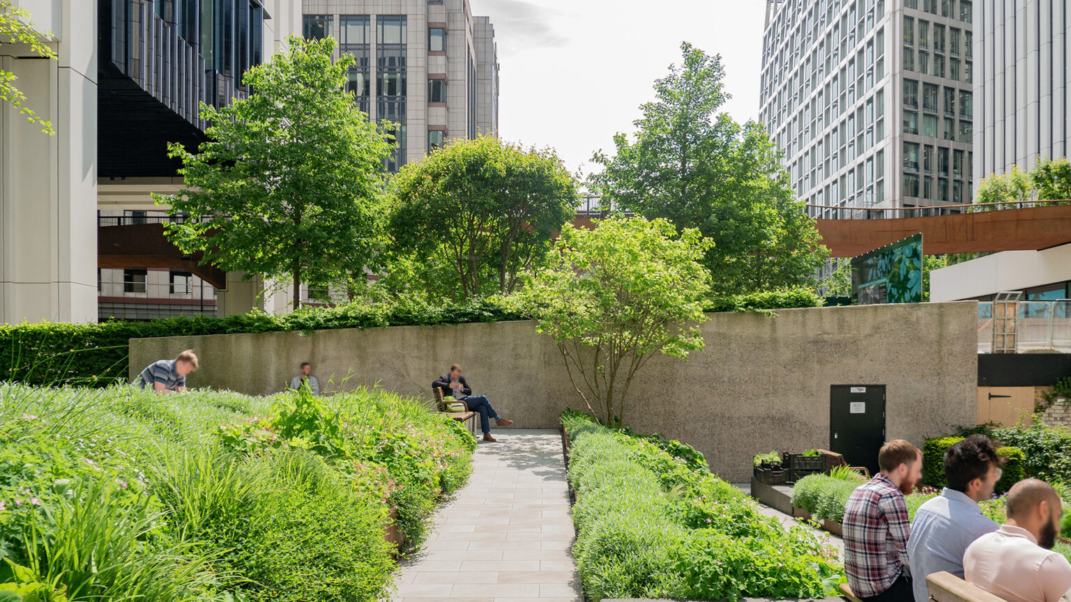 Planting Trees on Rooftops and Podium Decks - GreenBlue Urban