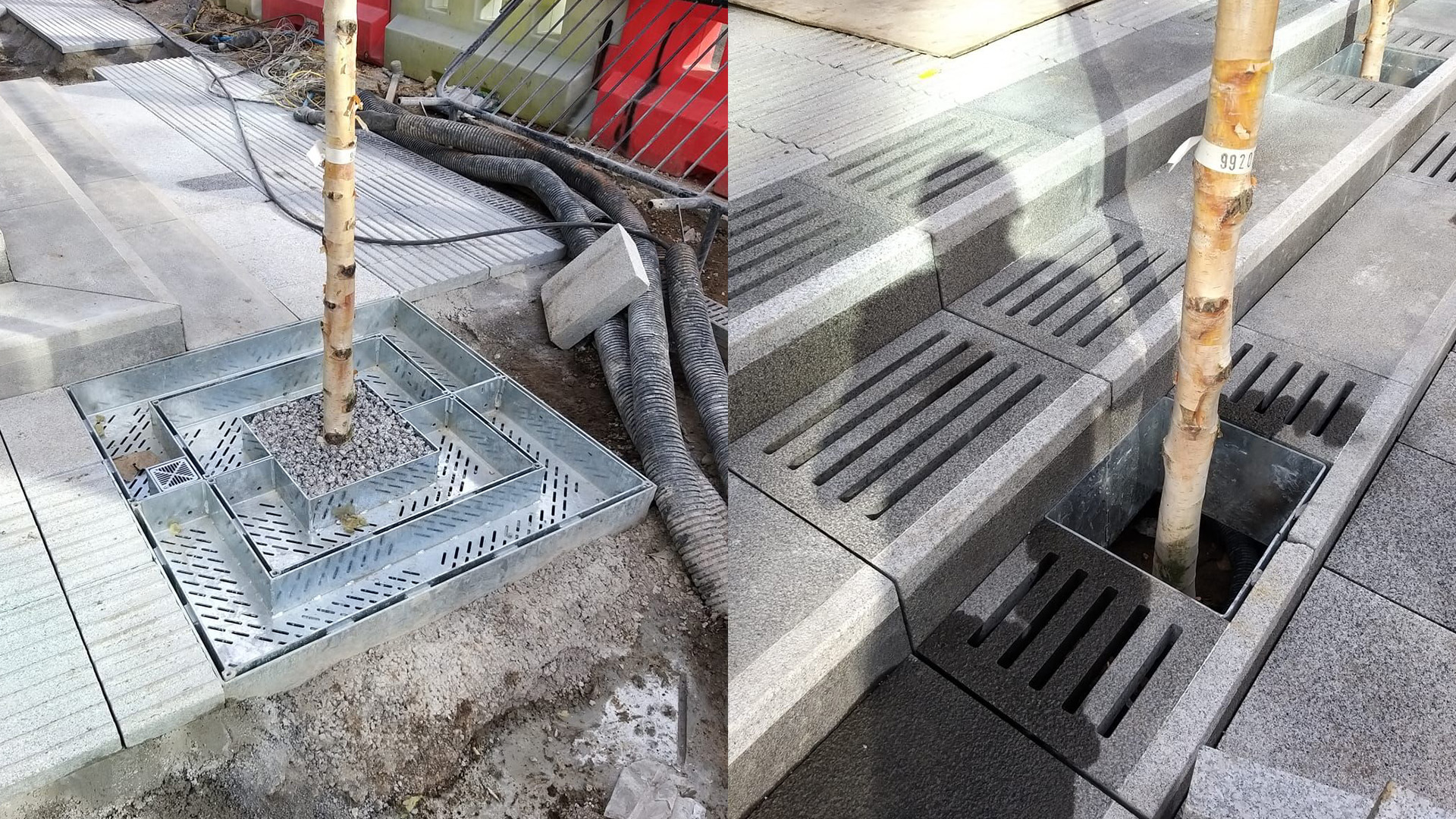 Planting Trees on Rooftops and Podium Decks - GreenBlue Urban