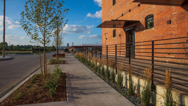 Urban Tree Planting Projects - GreenBlue Urban