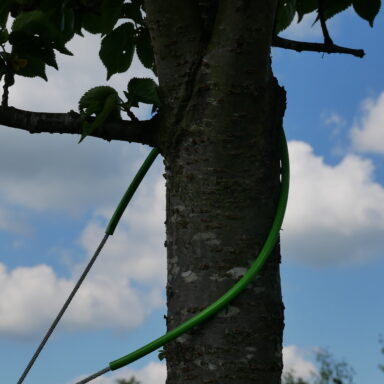 ArborGuy Overhead Guying System - GreenBlue Urban