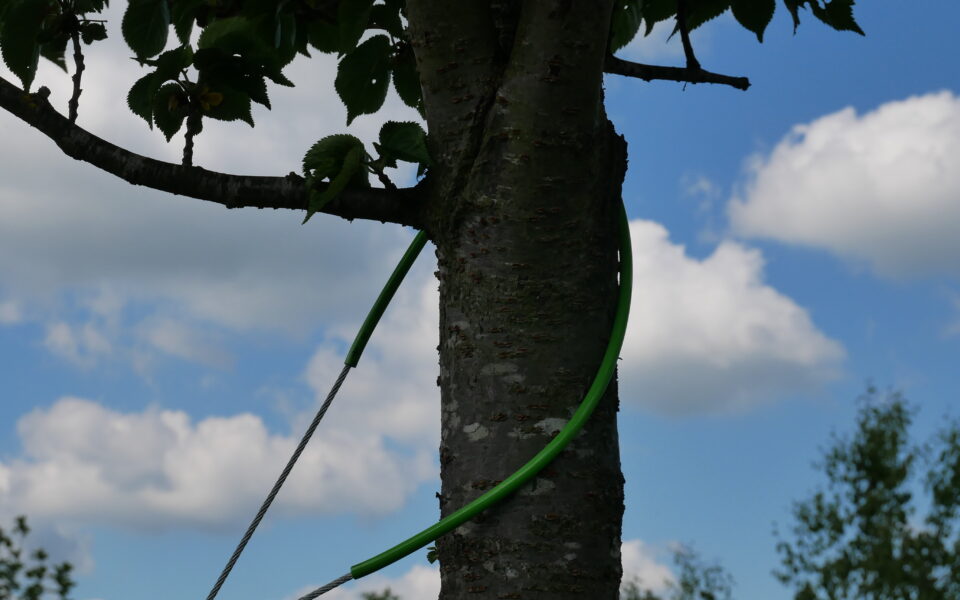 ArborGuy Deadman Anchor - GreenBlue Urban