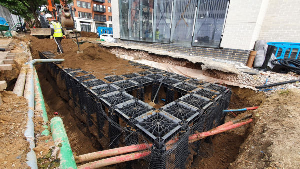 Unveiling Sustainability: GreenBlue Urban's RootSpace LCA - GreenBlue Urban