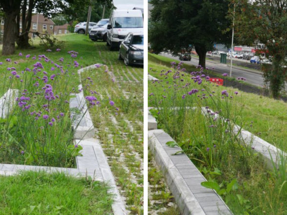 Cwmbach, Wales - GreenBlue Urban