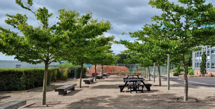 Exeter Science Park - GreenBlue Urban