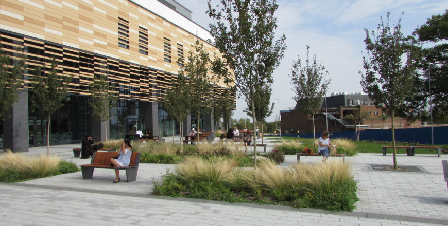 Green Infrastructure & Landscaping Blog - GreenBlue Urban