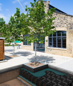 Blue - GreenBlue Urban