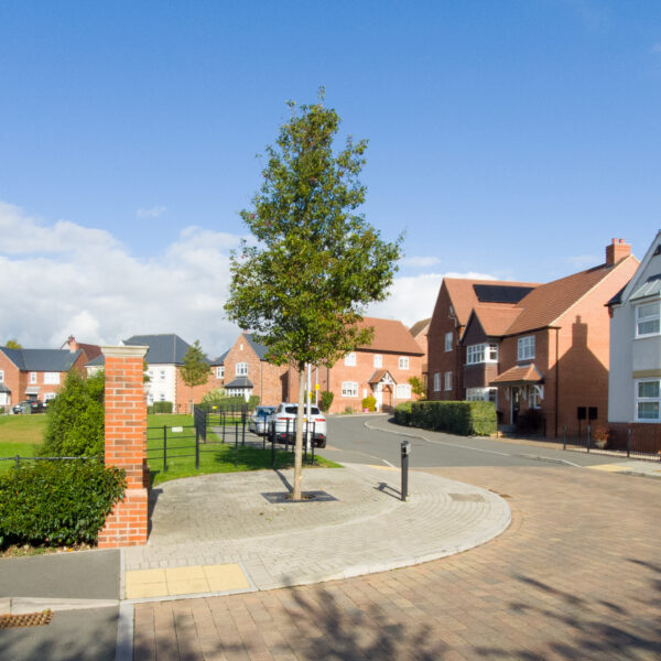 Estudiantes - GreenBlue Urban