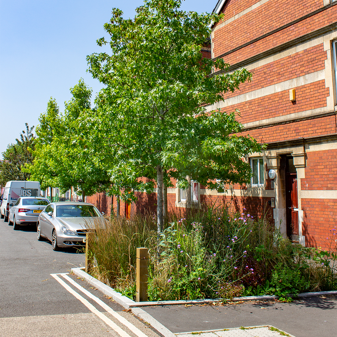 Raingardens Archives - GreenBlue Urban