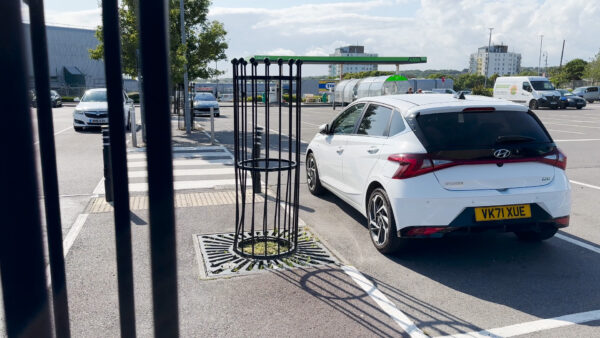 Essential Must Know's When Assessing Tree Pits - GreenBlue Urban