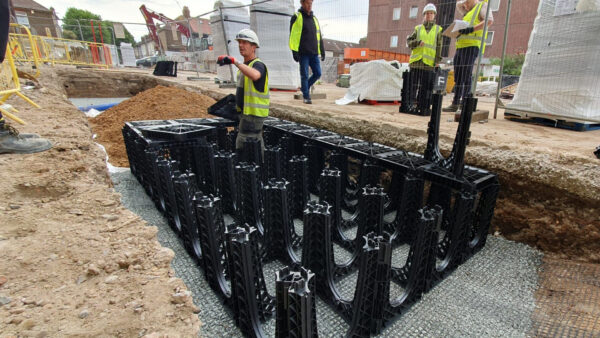 Essential Must Know's When Assessing Tree Pits - GreenBlue Urban