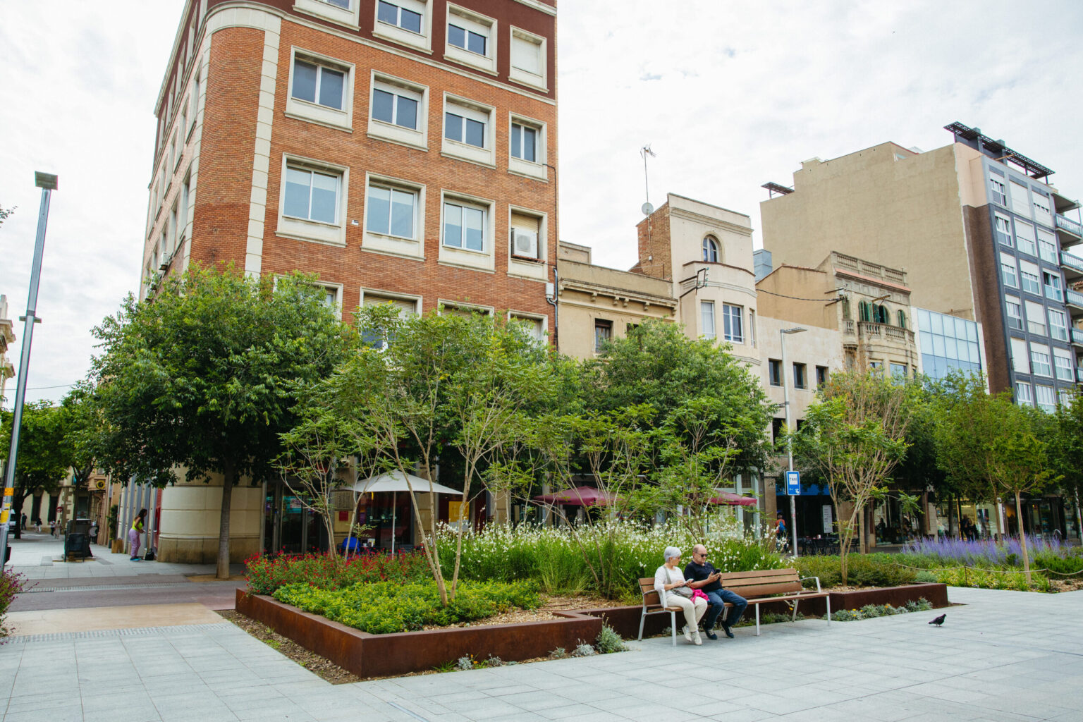 Urban Tree Planting Projects - GreenBlue Urban