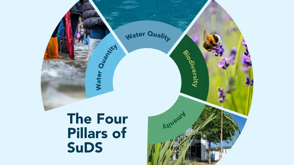 Harmony in the Concrete Jungle: The Principles of SuDS - GreenBlue Urban