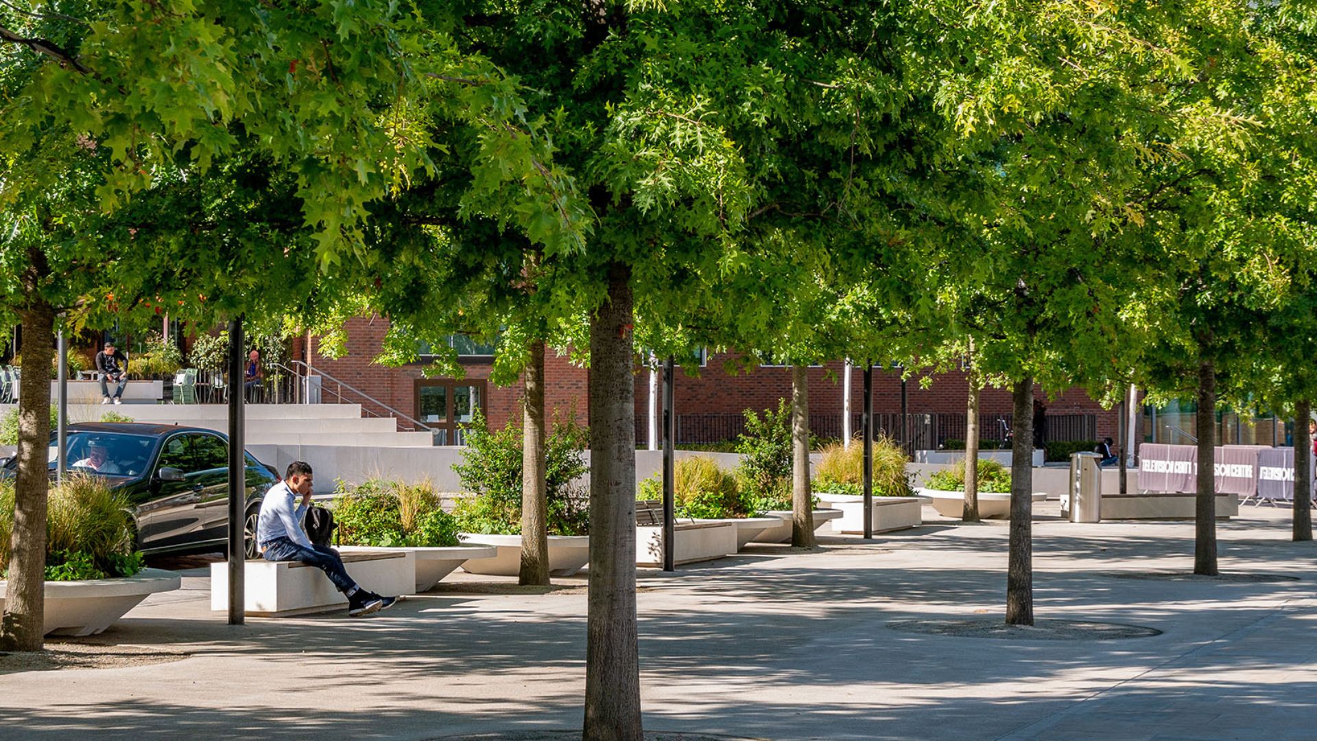 What to Consider Before Planting a Tree Pit - GreenBlue Urban