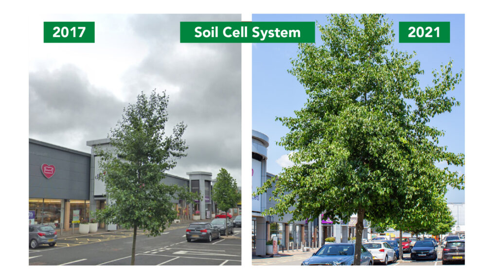 Exploring Urban Tree Planting Media: A Guide for Urban Forestry ...