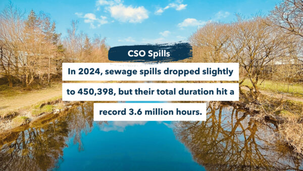 Tackling CSO Overflows with Nature-Based Solutions - GreenBlue Urban