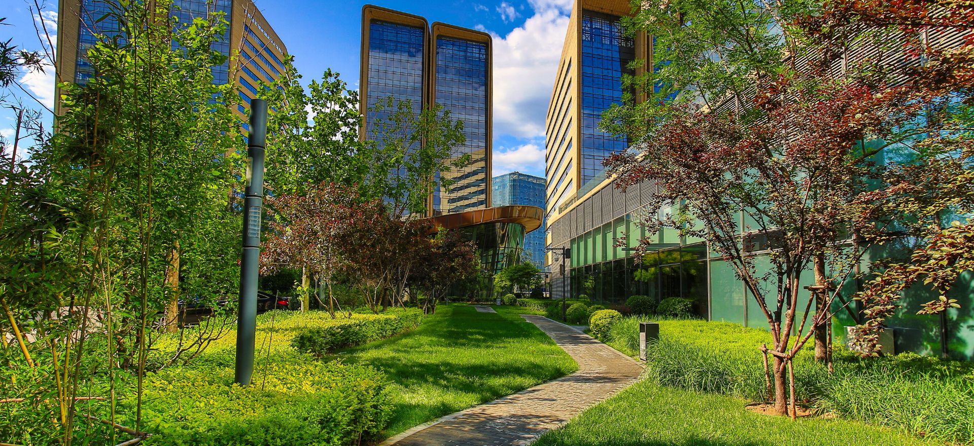 Urban Trees – Is There a Return on Investment (ROI)? Yes! - GBU