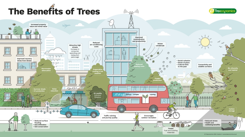 How Urban Tree Planting with Recycled Materials Benefits Communities ...