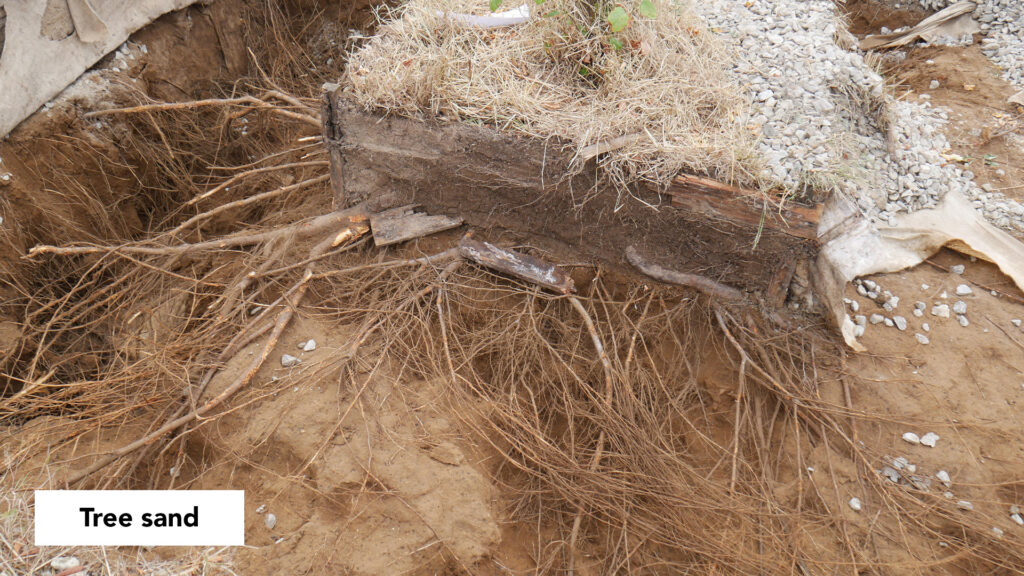 Comparing Tree Planting Media: A Comprehensive Overview - GreenBlue Urban