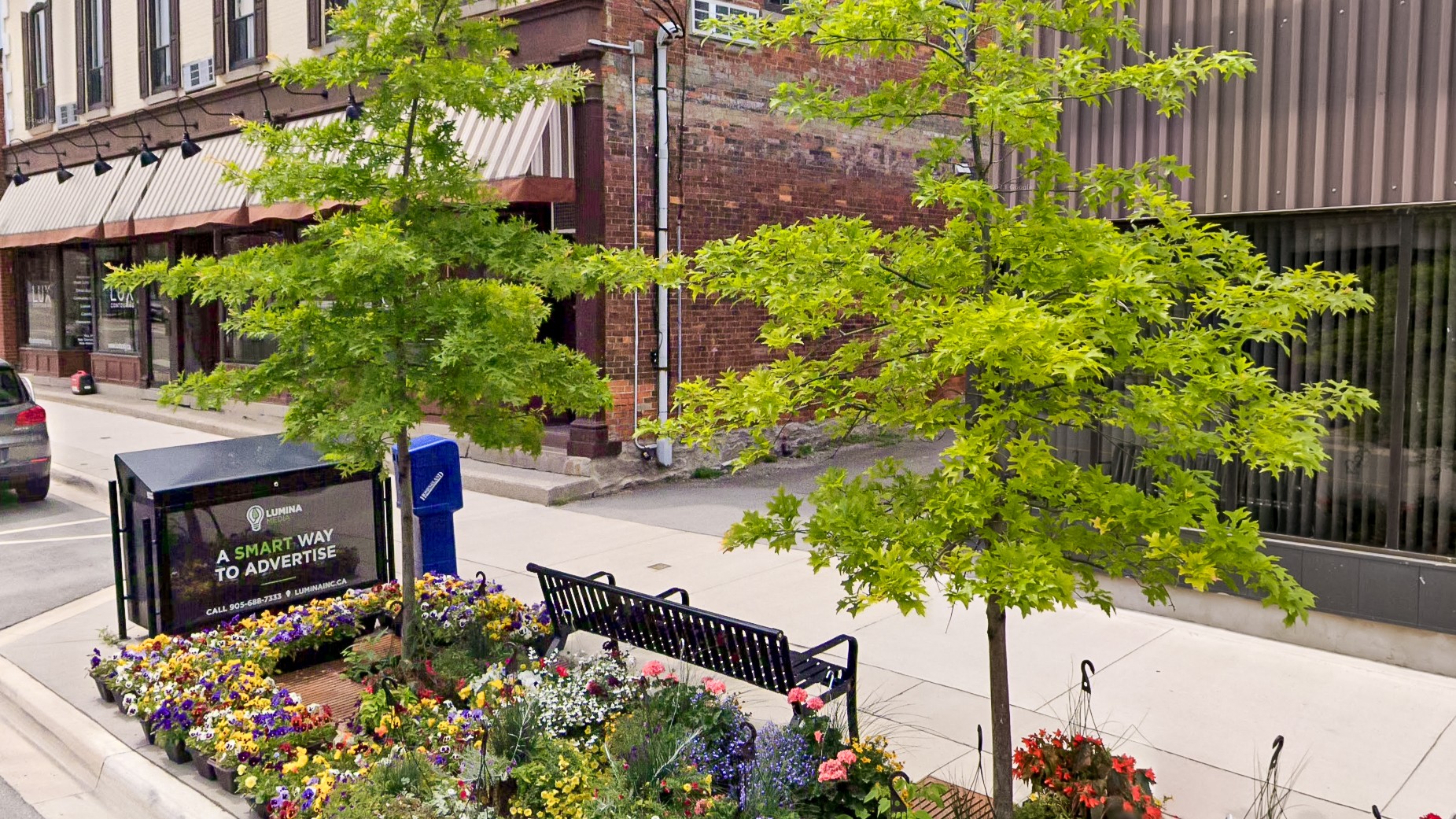 Urban Tree Planting Projects - GreenBlue Urban