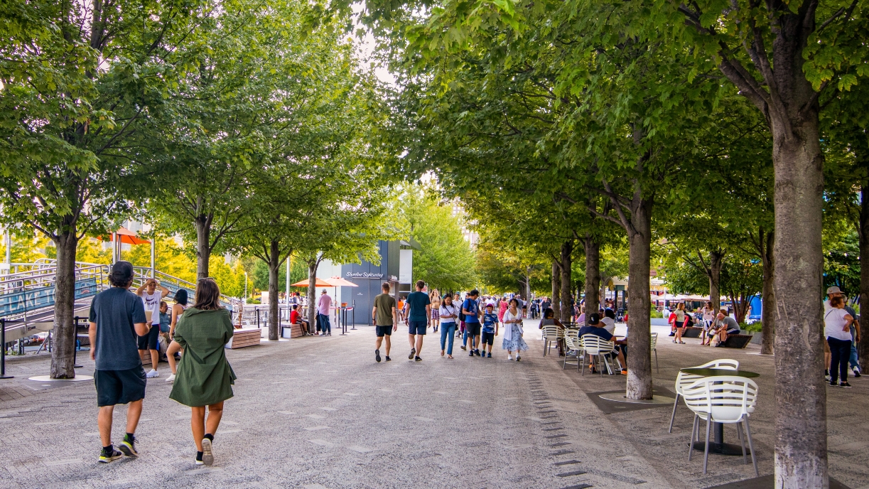 How to Design for Urban Trees That Thrive (Part 3) - GreenBlue Urban