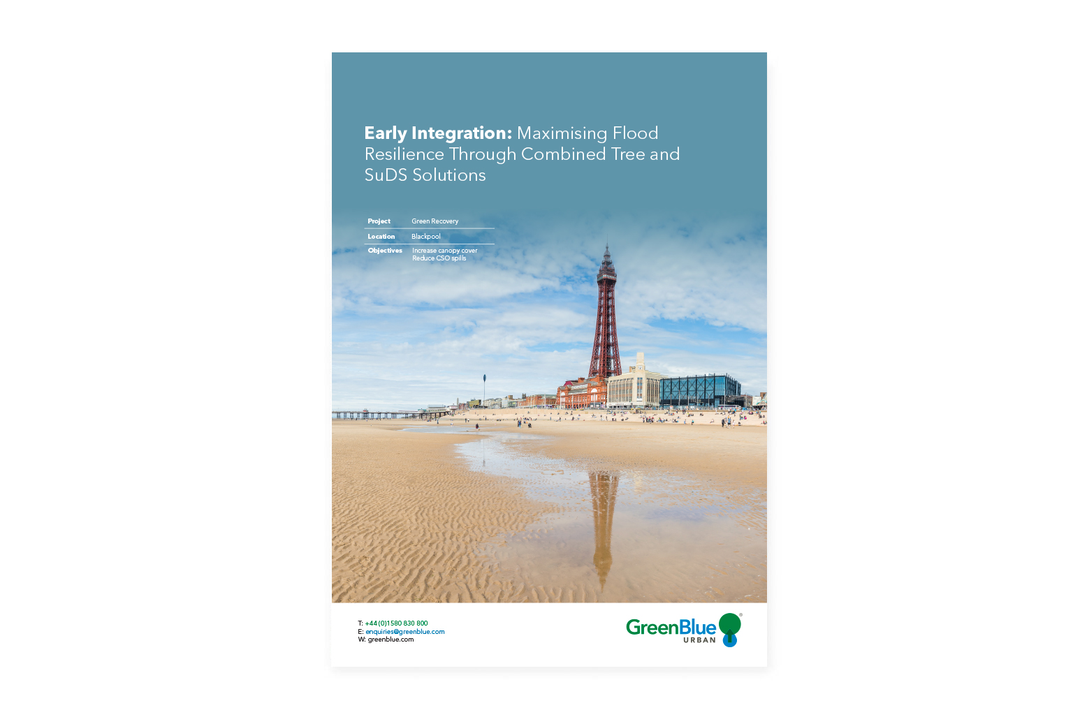 Early Integration: Maximising Flood Resilience Through Combined Tree ...